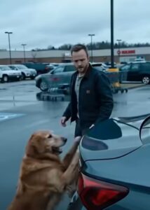 I Opened My Car Trunk After a Stray Dog Wouldn’t Leave — What I Found ...