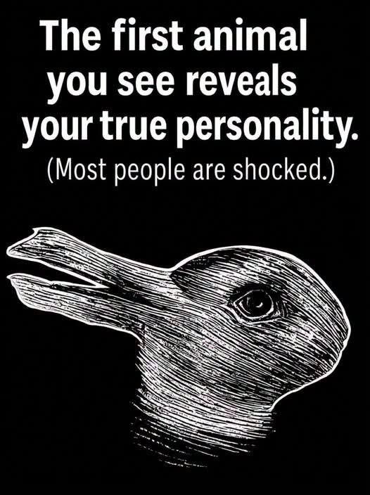 What You Notice First in This Clever Image Isn’t Random—Here’s Why Your ...